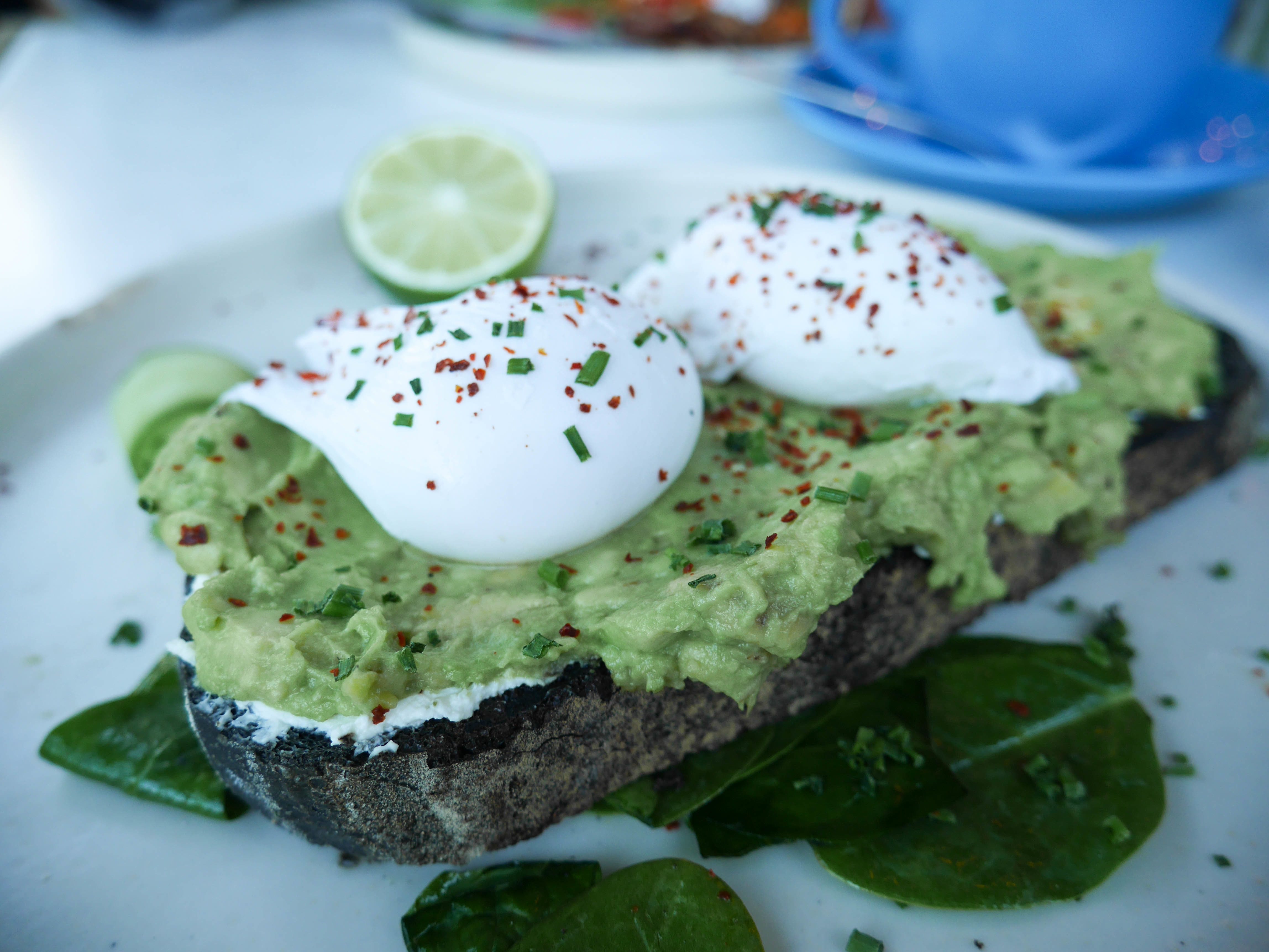 Daisy Green – Hotspot-Hunter